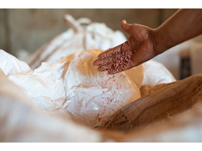 Oman India Fertiliser Co Moves Towards Potential IPO in Muscat - TECHRONY