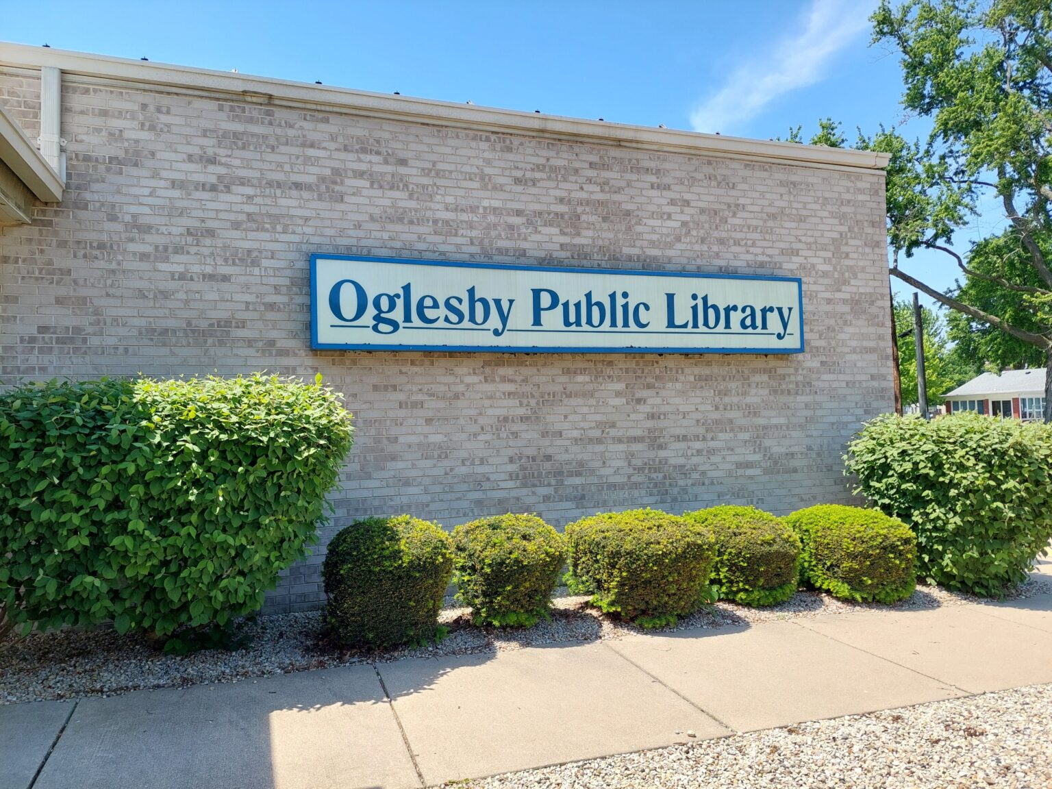 Oglesby Public Library Launches Annual Book Sale Event - TECHRONY