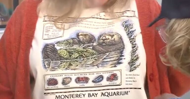 Taylor Swift Fans Raise $2.3 Million for Monterey Bay Aquarium - TECHRONY