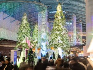 Shoppers Brave Cold for Boxing Day Deals and Sports Events - TECHRONY