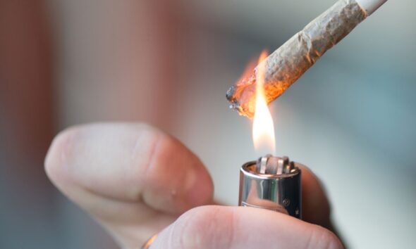 B.C. Cannabis Sales Plunge Over 50% Amid Historic Job Action - TECHRONY