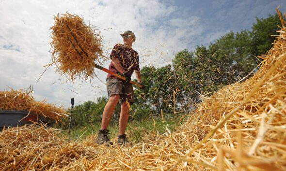 Canada Faces Agriculture Research Cuts Amid Competitive Challenges ...