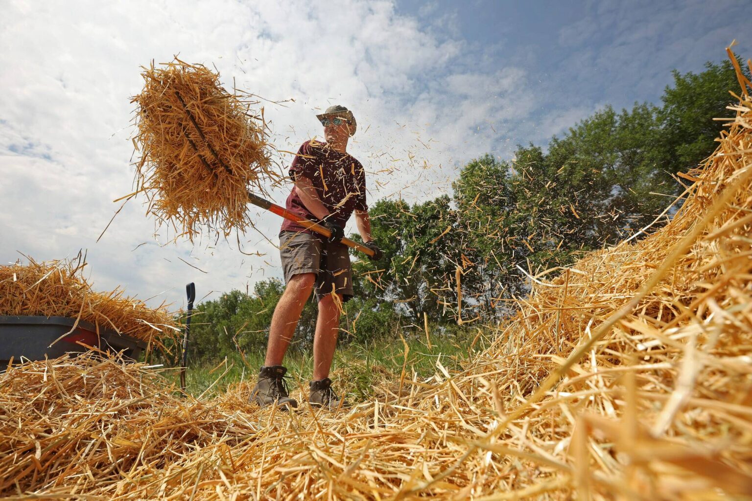 Canada Faces Deep Cuts to Agricultural Research Facilities - TECHRONY