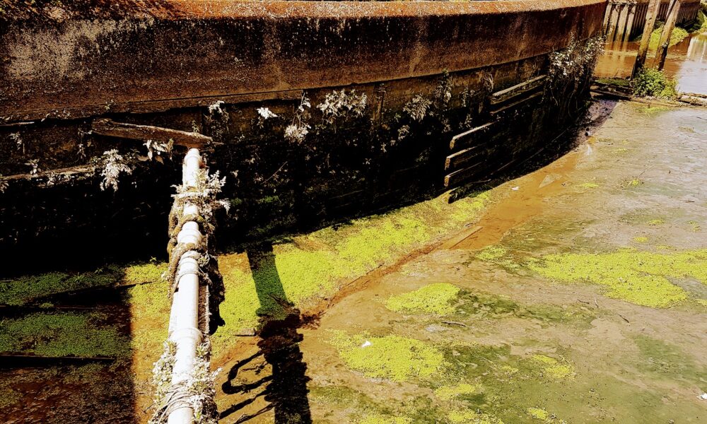 UK Government Unveils Water Reform Plans Amidst Rising Concerns - TECHRONY