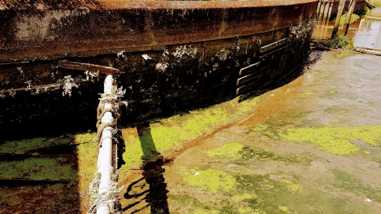 UK Government Unveils Water Reform Plans Amidst Rising Concerns - TECHRONY